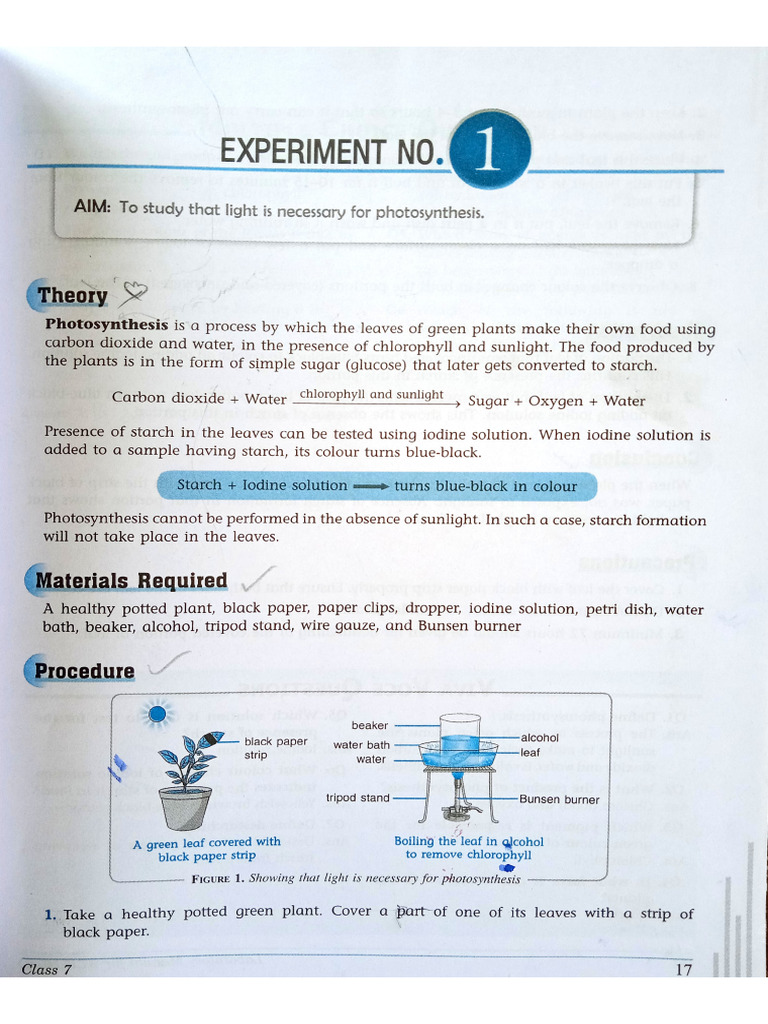 7 Th Practical Notes | PDF