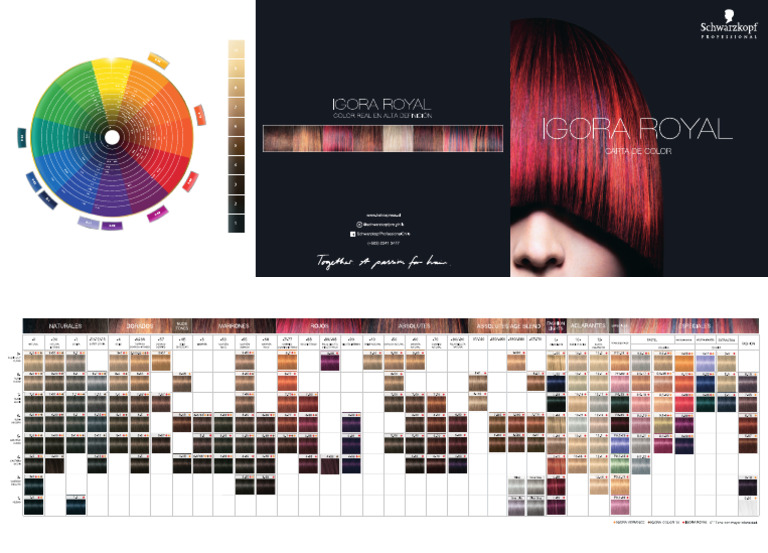 Carta Color IGORA 2020 | PDF