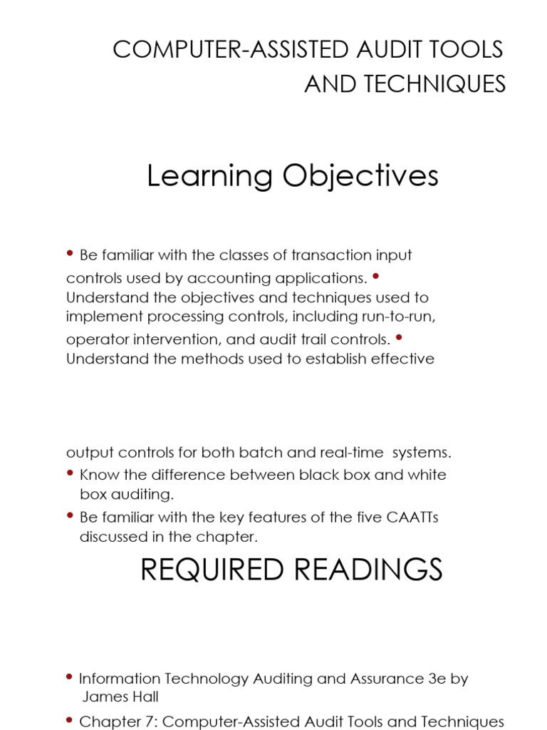 Computer-Assisted Audit Techniques Guide | PDF | Audit | Computing