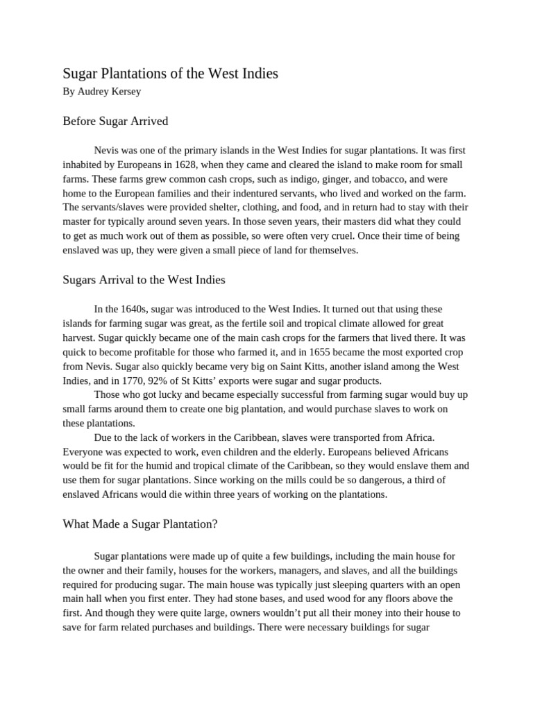 Sugar Plantations of The West Indies | PDF | Sugarcane | Plantation