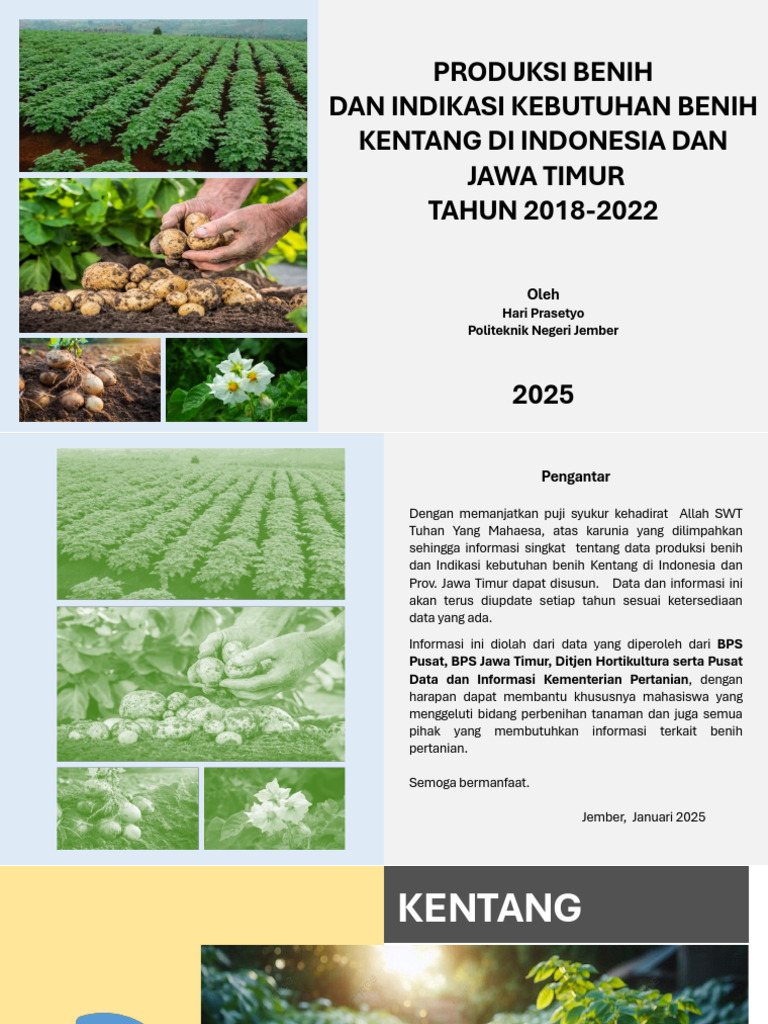 Kebutuhan dan Produksi Benih Kentang | PDF