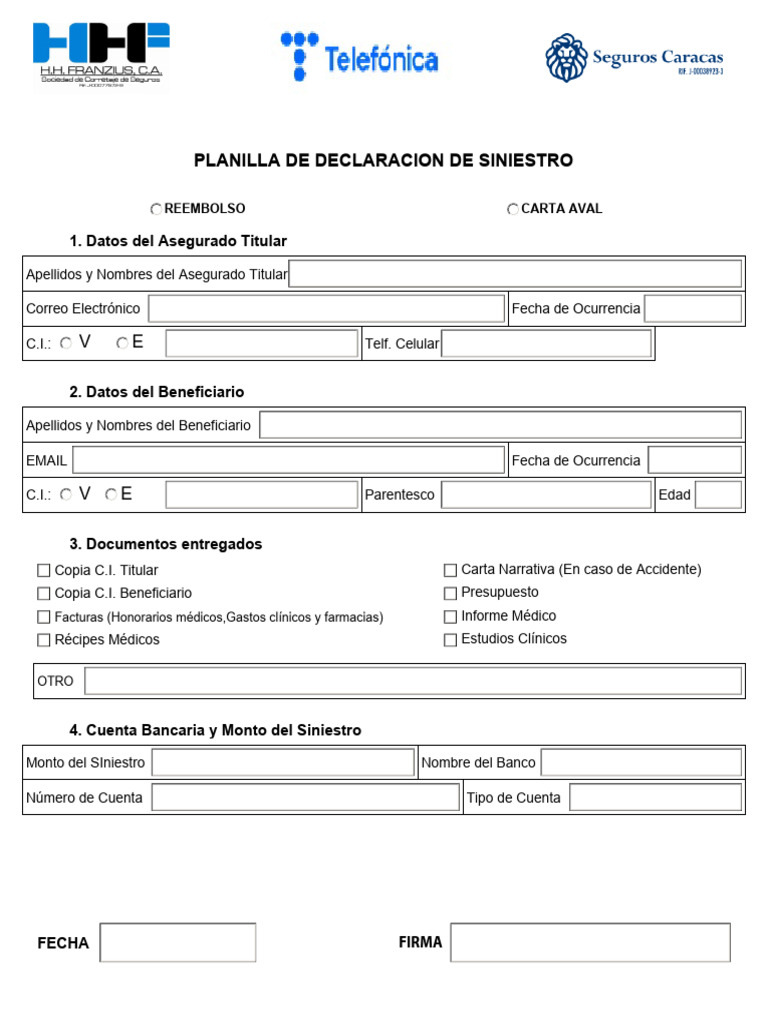 Planilla Siniestro Formato | PDF
