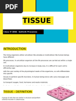 Class 9 Science: Tissues Revision Notes | PDF | Epithelium | Tissue ...
