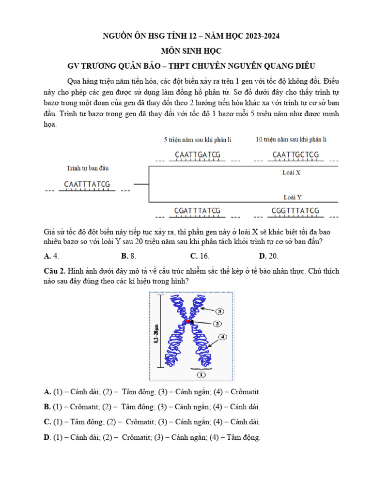 HS - Nguon HSG12.2024 | PDF