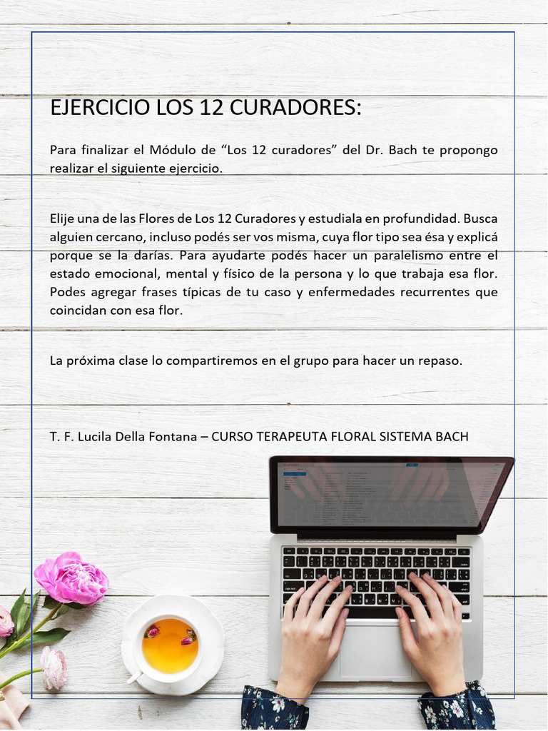 Ejercicio Los 12 Curadores | PDF