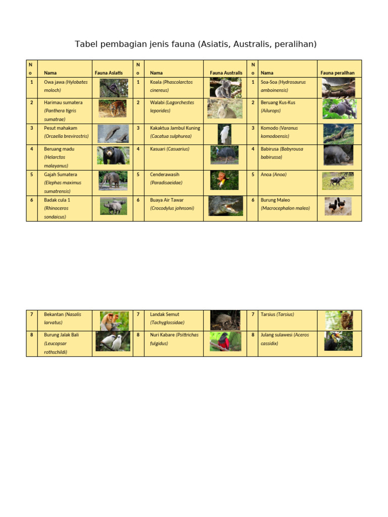 Tabel Pembagian Jenis Fauna | PDF