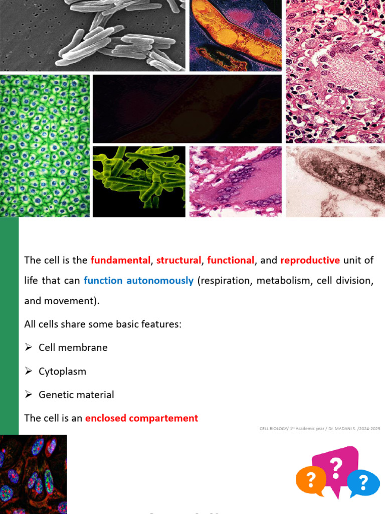 Prokaryotic Cell Structure and Function | PDF | Cell (Biology) | Prokaryote