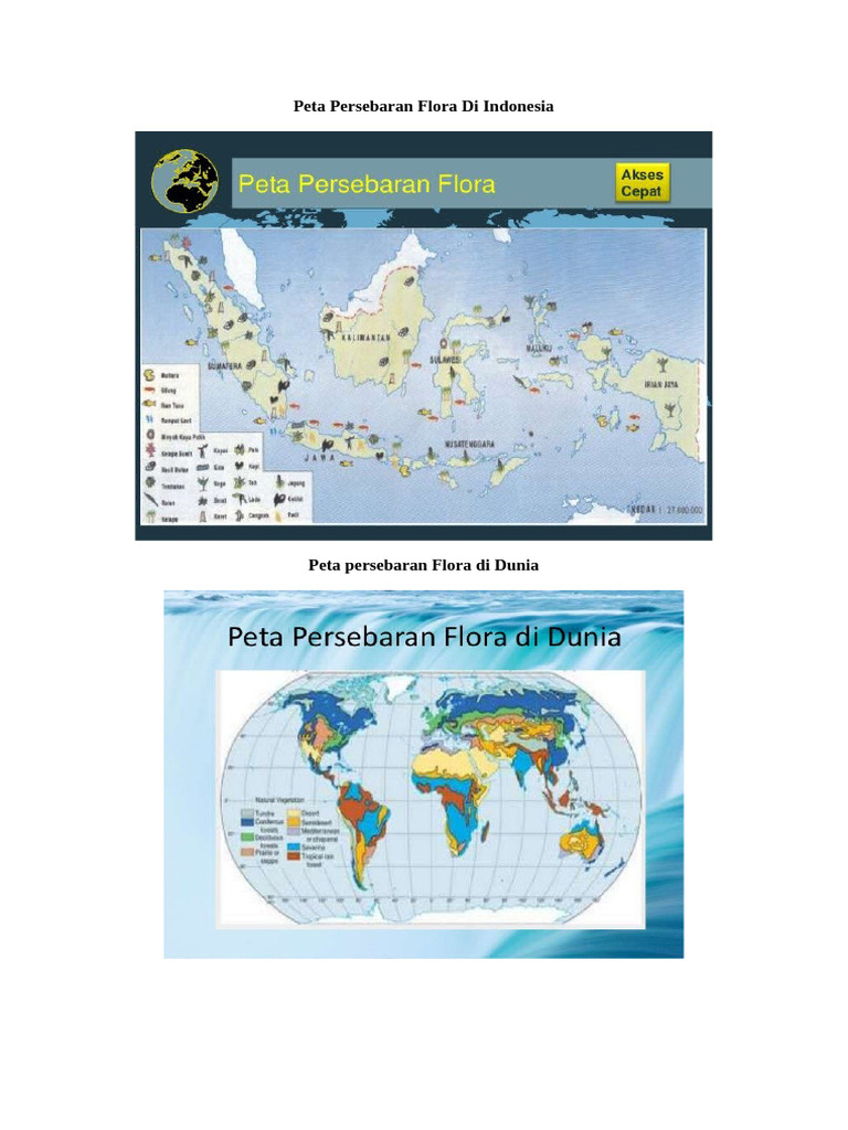 Peta Persebaran Flora Di Indonesia Peta | PDF