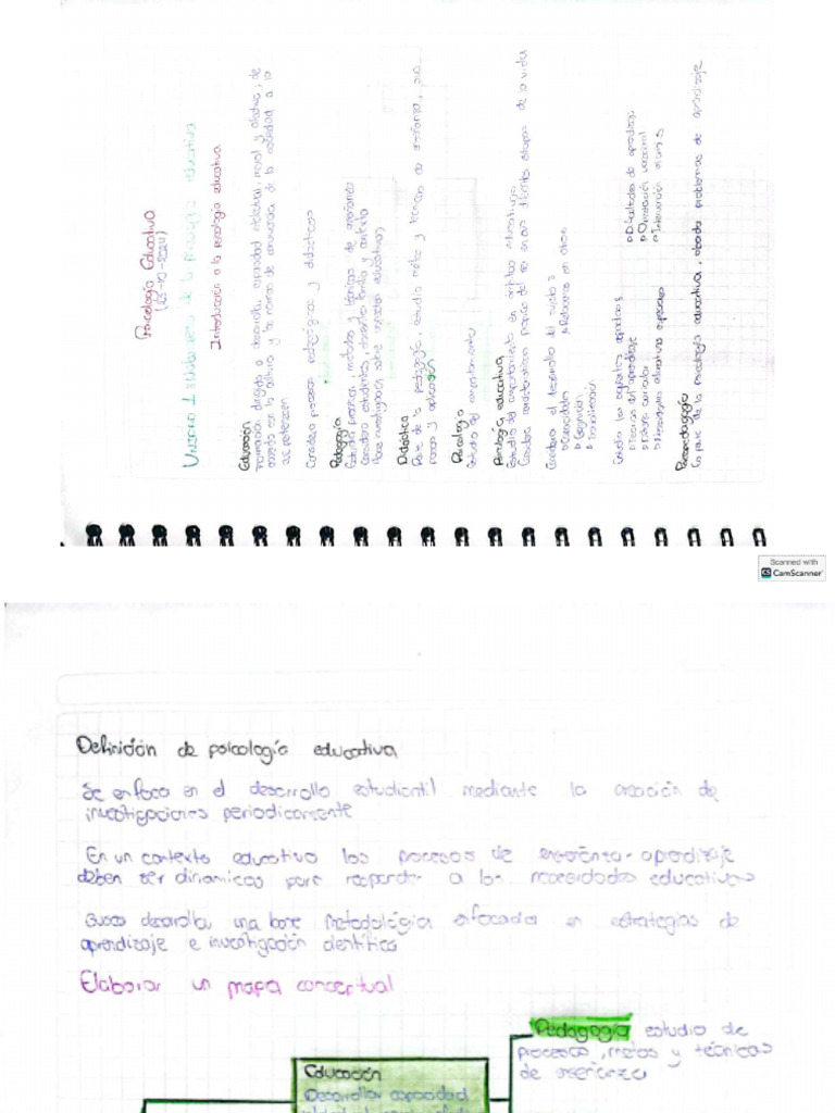 Pulupa Cuaderno Compressed | PDF