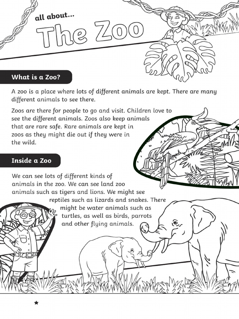All About The Zoo Differentiated Reading Comprehension | PDF