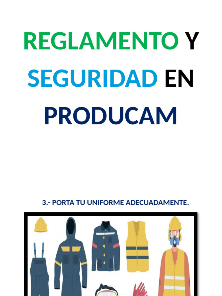 Reglamento y Seguridad en Producam | PDF