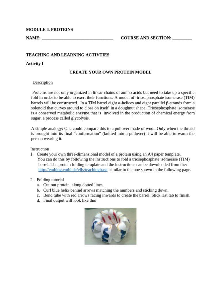 MODULE 4. TLA and Assessment Task | PDF | Proteins | Amino Acid