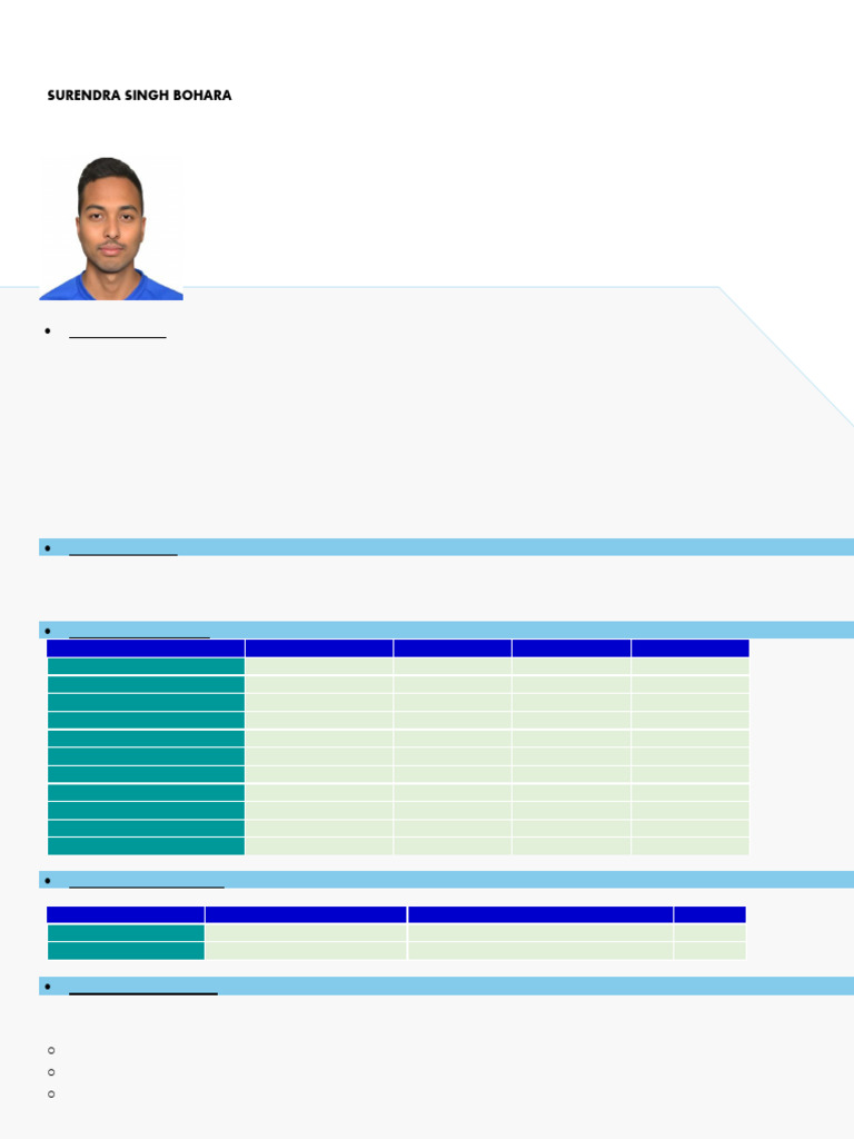 Surendra Singh Bohara's CV Summary | PDF | Audit | Business
