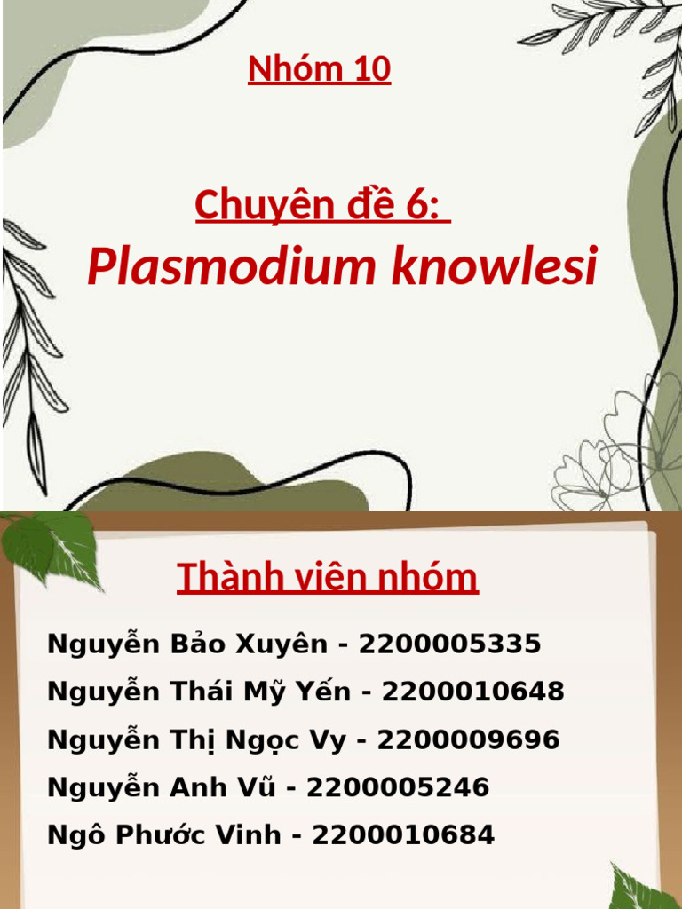 Nhom10 KST (1) | PDF