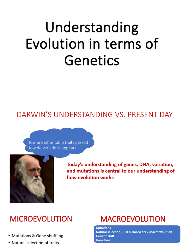 Evolution Chapter 5 Part 2 | PDF | Evolution | Natural Selection