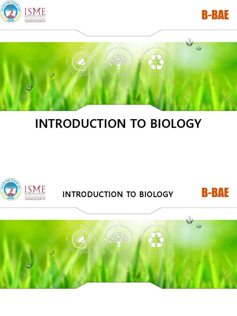 SLIDE BIO 2 | PDF | Cell (Biology) | Photosynthesis