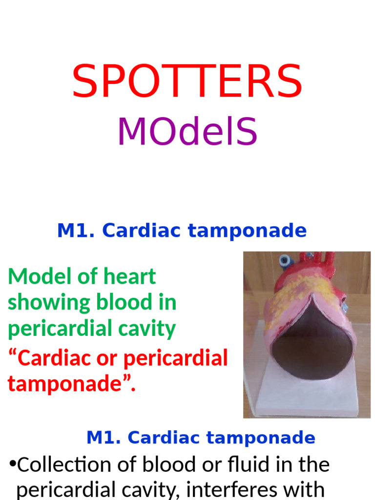 Spotters Models 1 | PDF