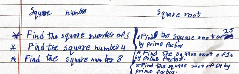Science Revision Questions | PDF