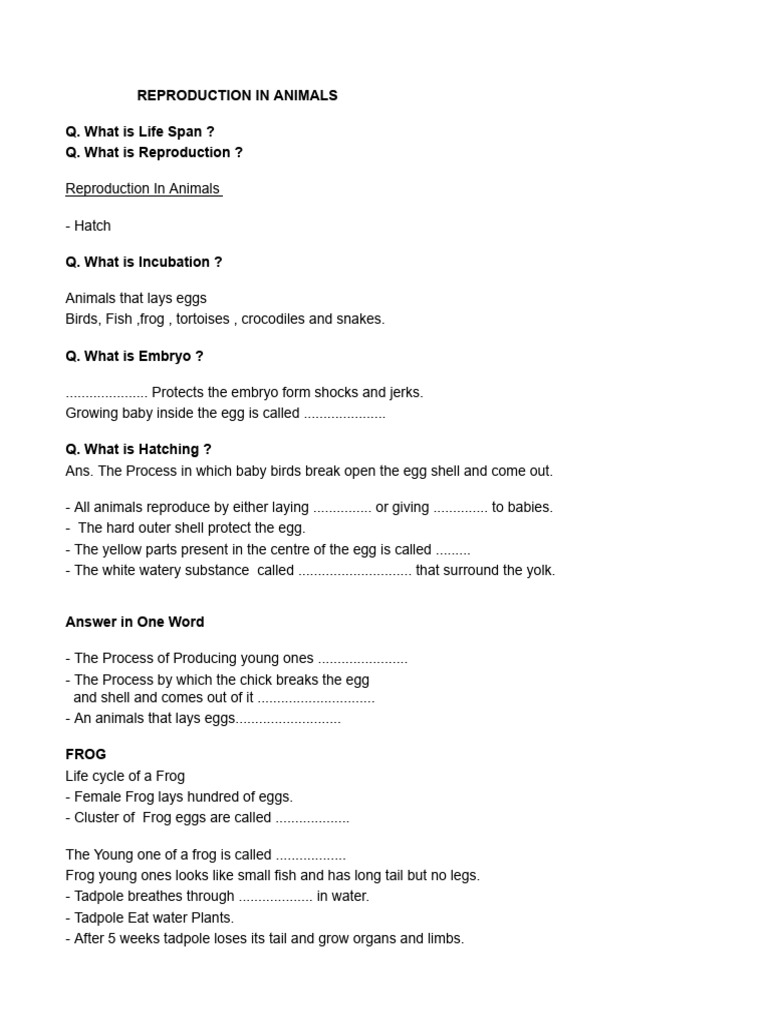 Animal Reproduction and Life Cycles | PDF | Egg | Frog