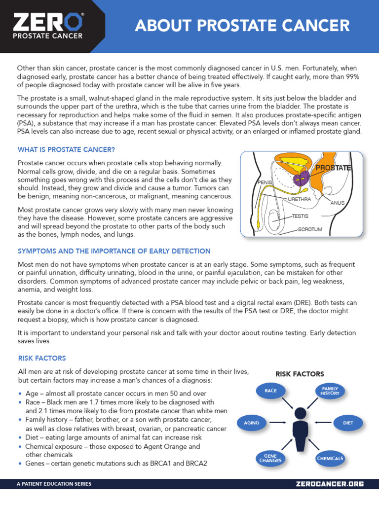 About Prostate Cancer One-Pager FINAL 2023 | PDF | Prostate | Prostate Cancer