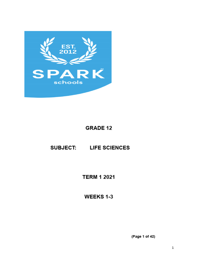 Life Sciences Gr.12 Term 1 Weeks 1-3 DNA & Protein Synthesis | PDF | Rna | Translation (Biology)