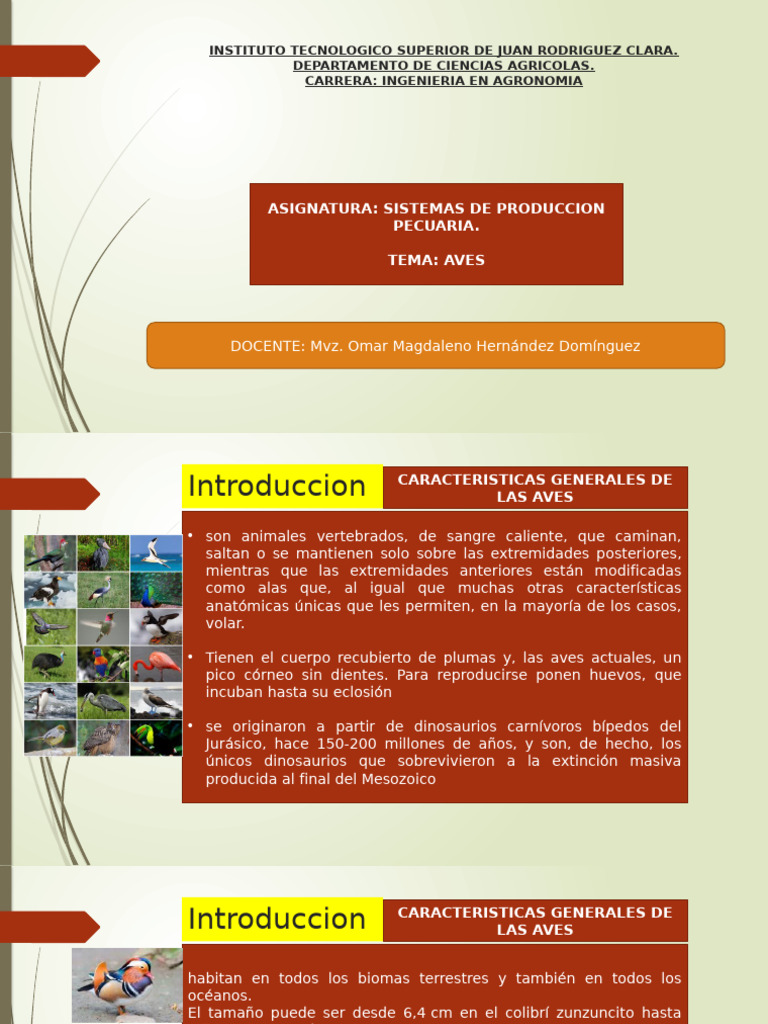 Sistemas de Prod. Pec. Tema Aves | PDF | Aves | Migración de aves