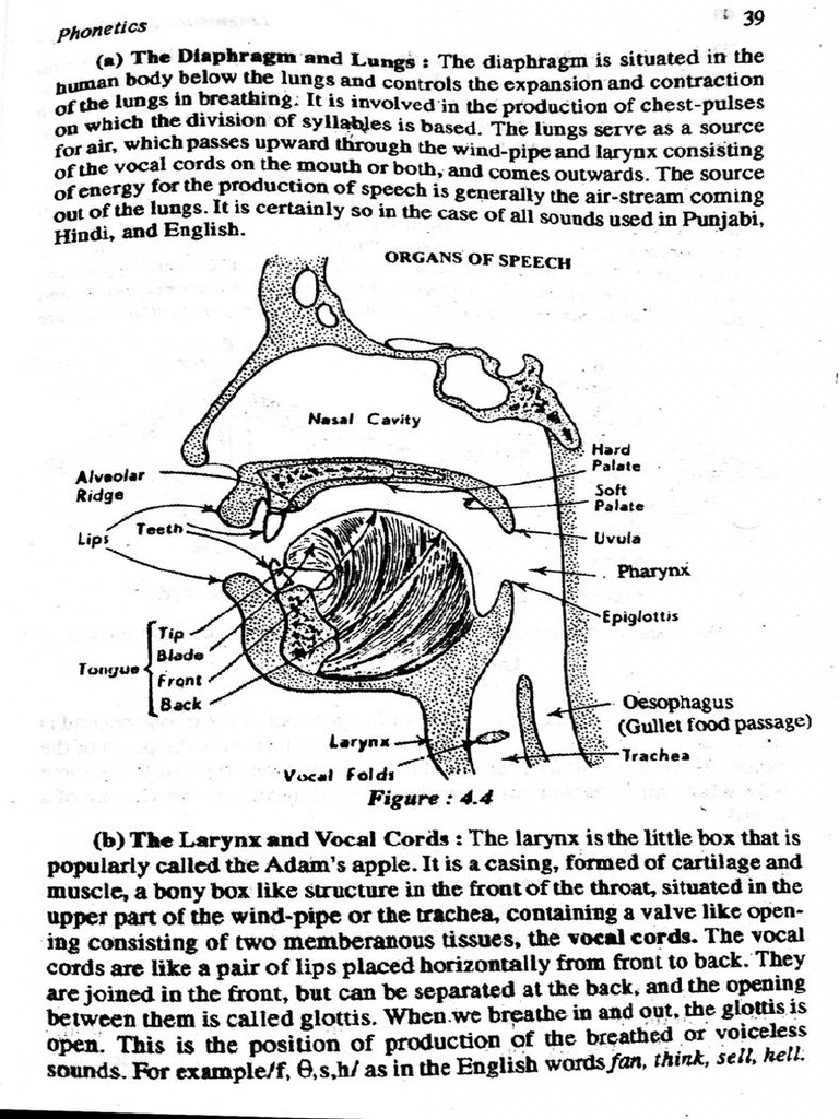 Speech Operation | PDF