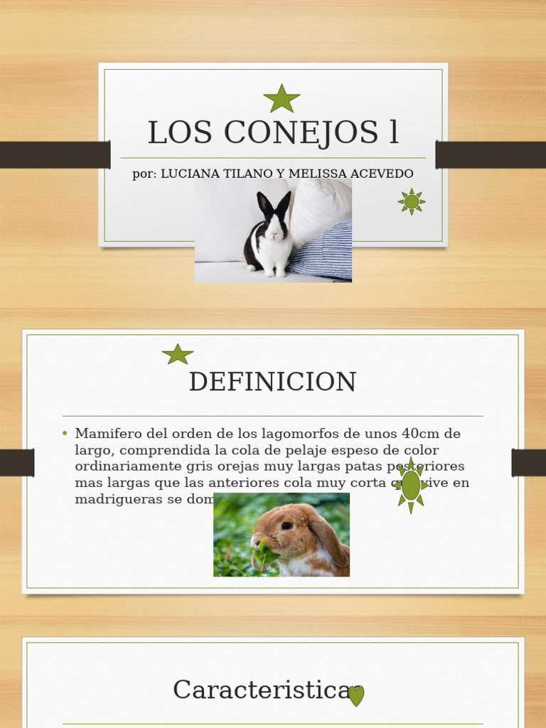 Los Conejos | PDF