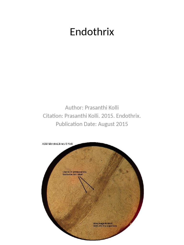 ENDOTHRIX | PDF