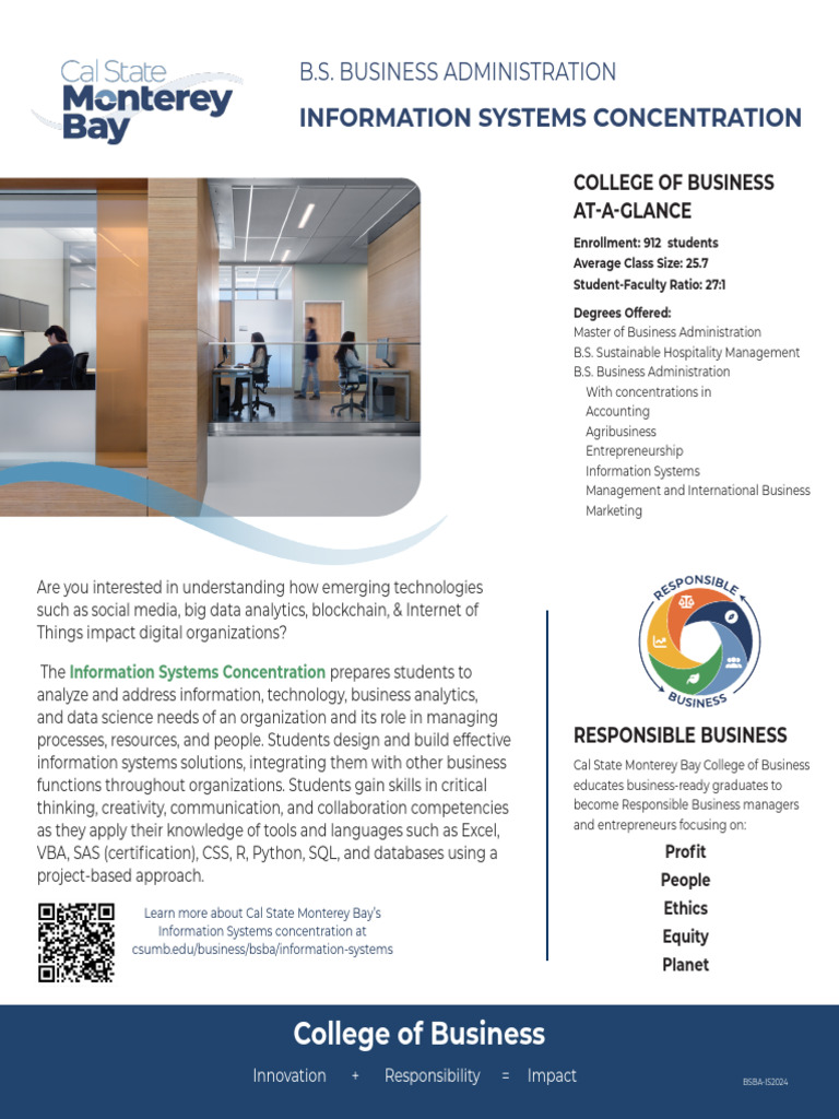Information Systems Concentration Overview | PDF | Analytics | Databases