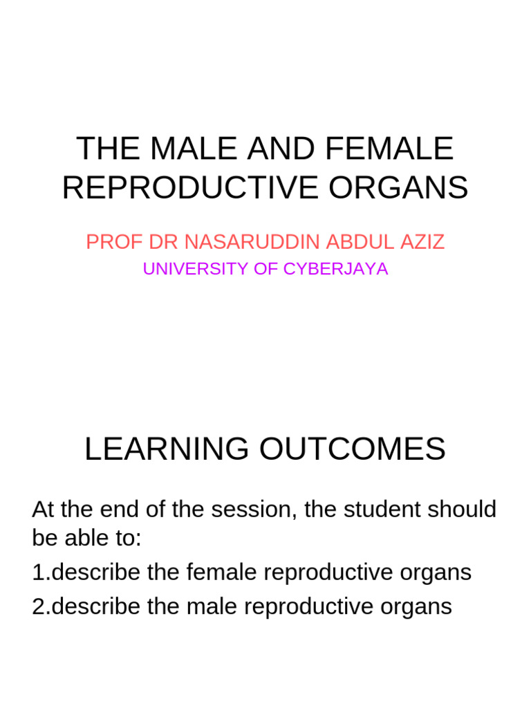 Reproductive Organs | PDF | Uterus | Vagina