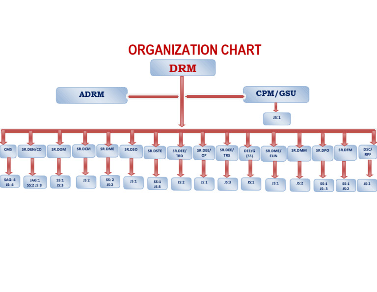 Medical Hospital Org Chart Overview | PDF