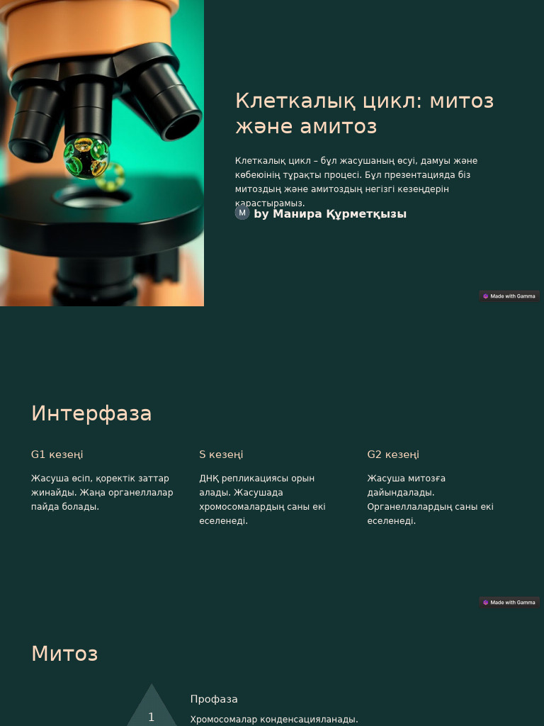 Kletkalykh-cikl-mitoz-zhaene-amitoz | PDF