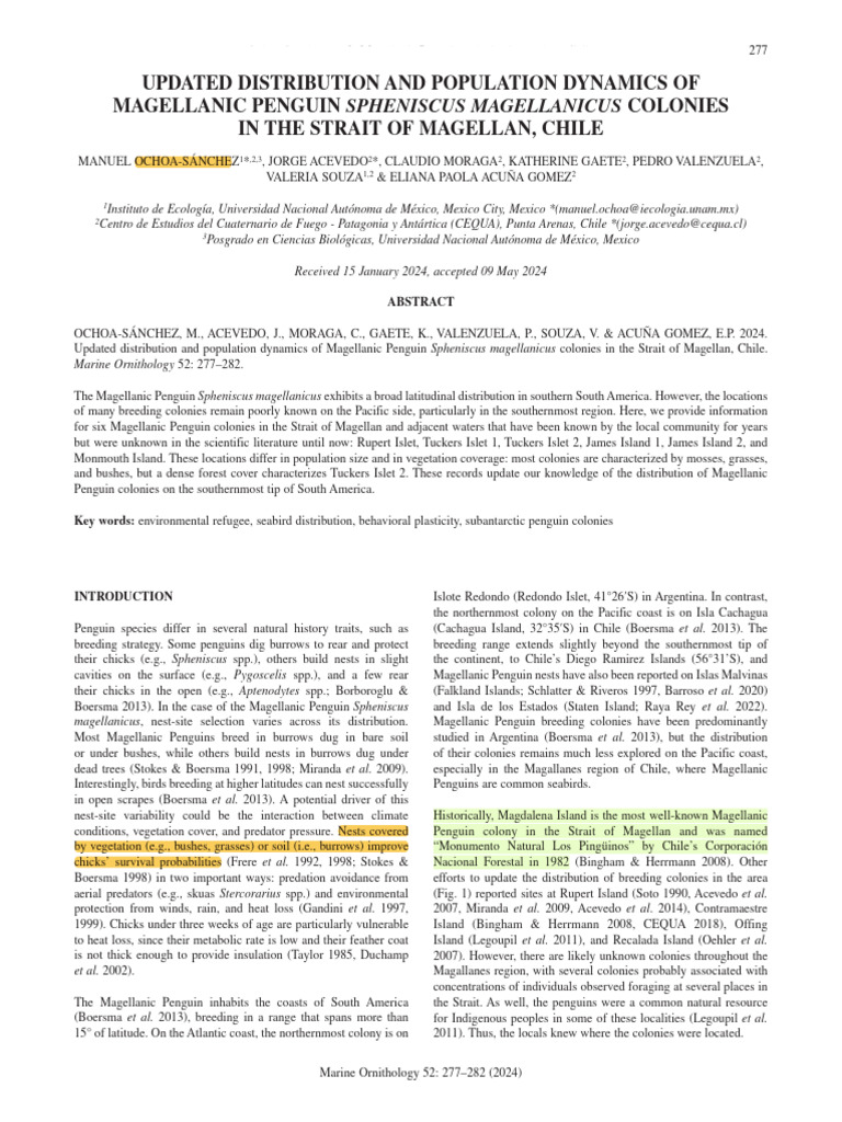 Magellanic Penguin Colonies in Chile | PDF | Penguin