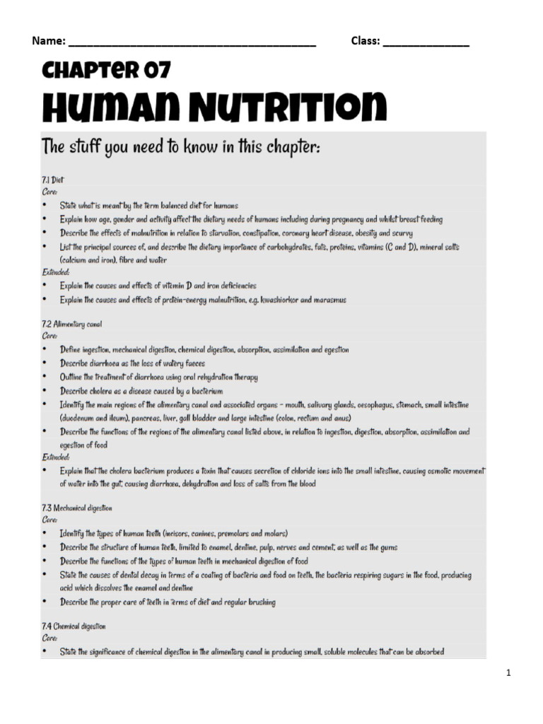 Student Notes Template | PDF | Gastrointestinal Tract | Large Intestine