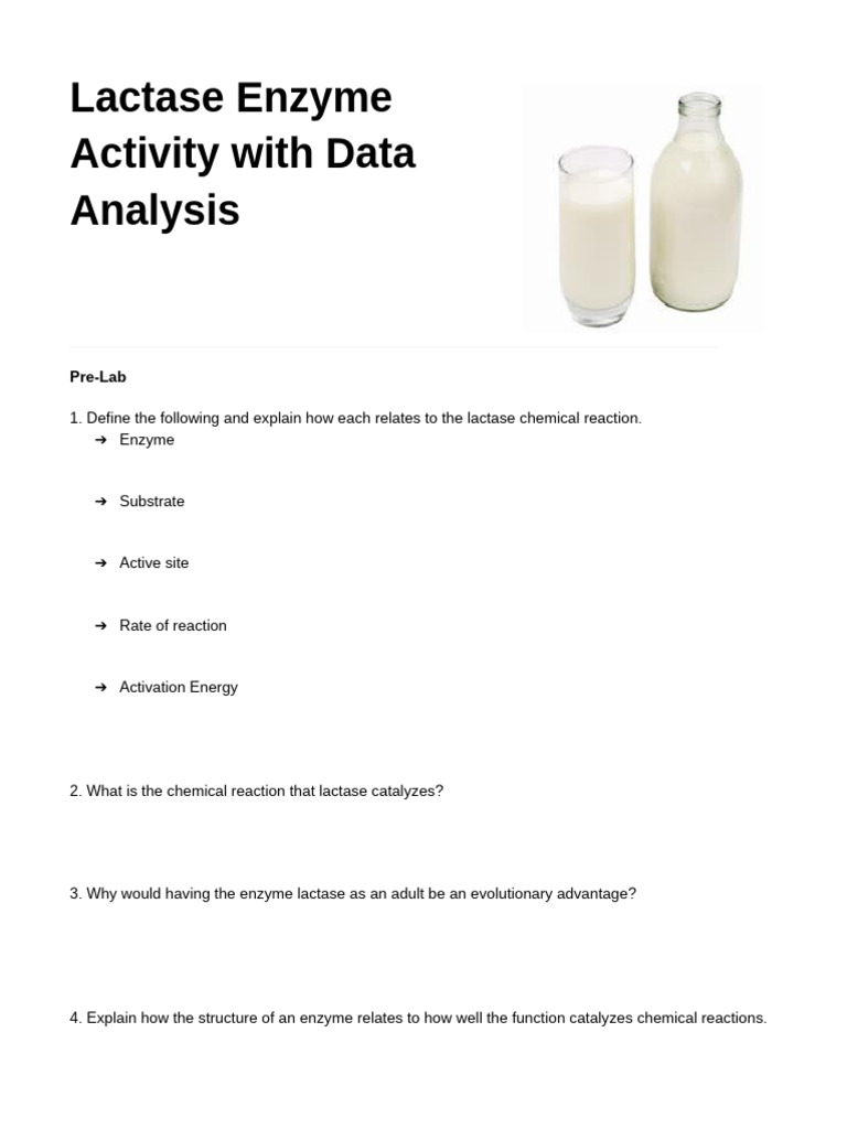 Lactase Enzyme Activity - With Data Analysis - STELLA | PDF | Enzyme ...