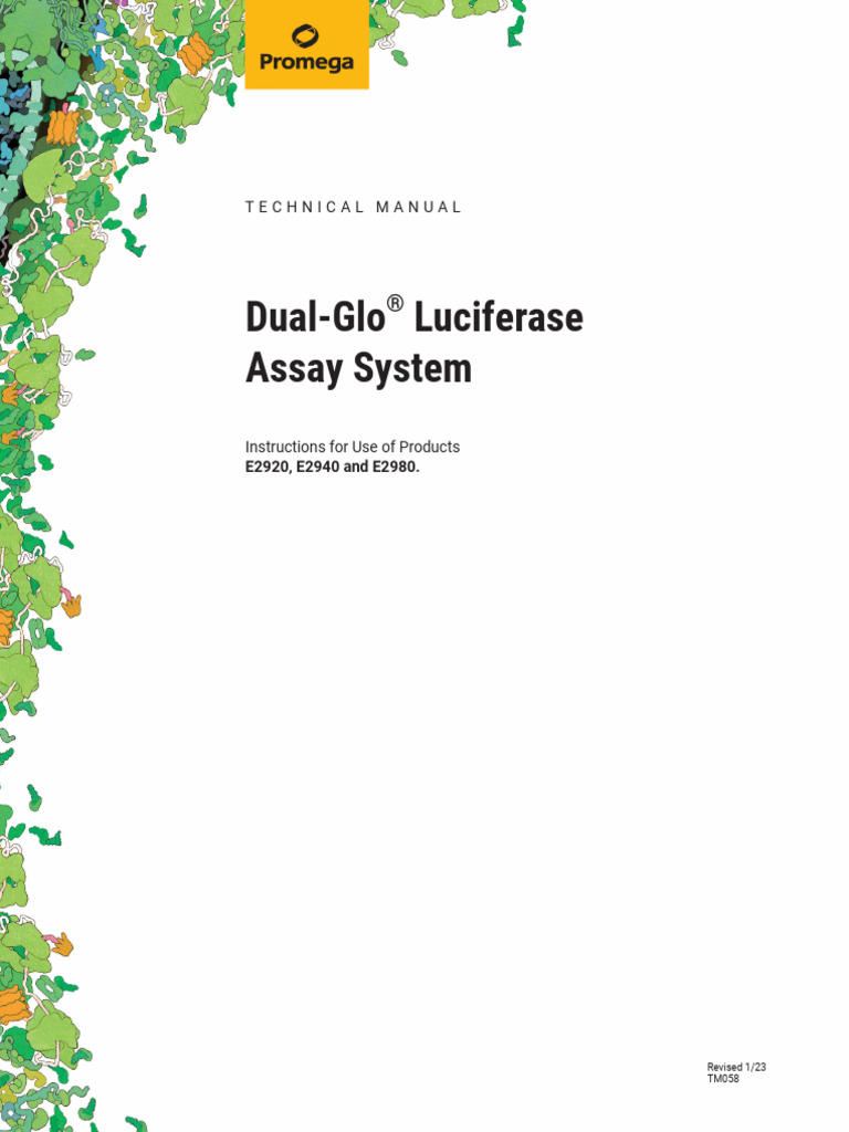 Dual Glo Luciferase Assay System Protocol | PDF | Luciferase | Transfection