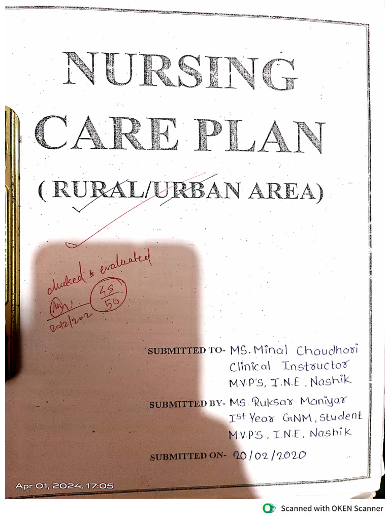 CHN Nursing Care Plan | PDF