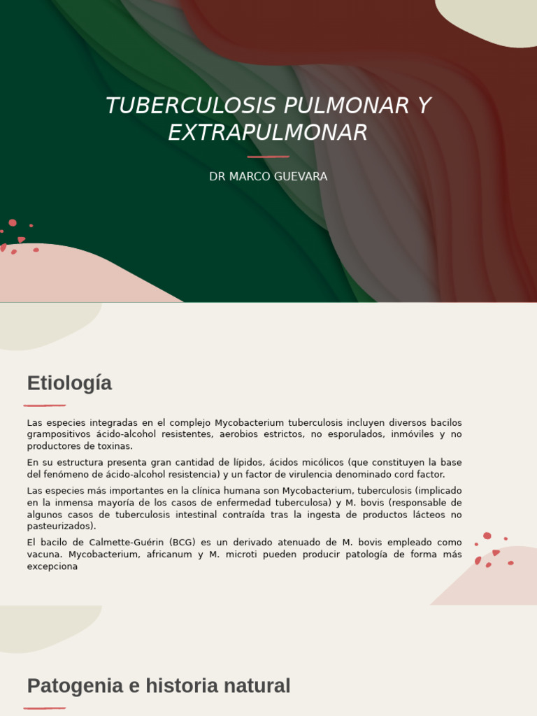 Tuberculosis Pulmonar y Extrapulmonar | PDF | Tuberculosis | Mycobacterium