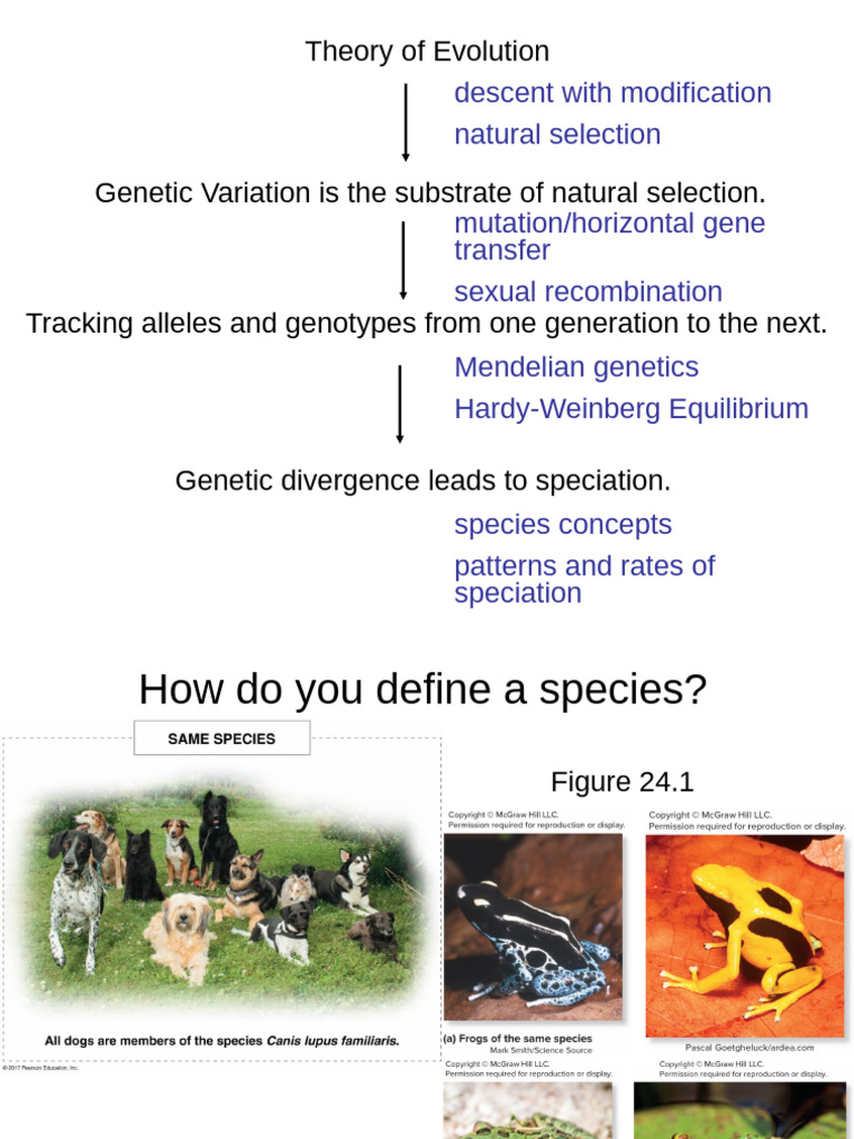 02 Speciation | PDF | Species | Evolution