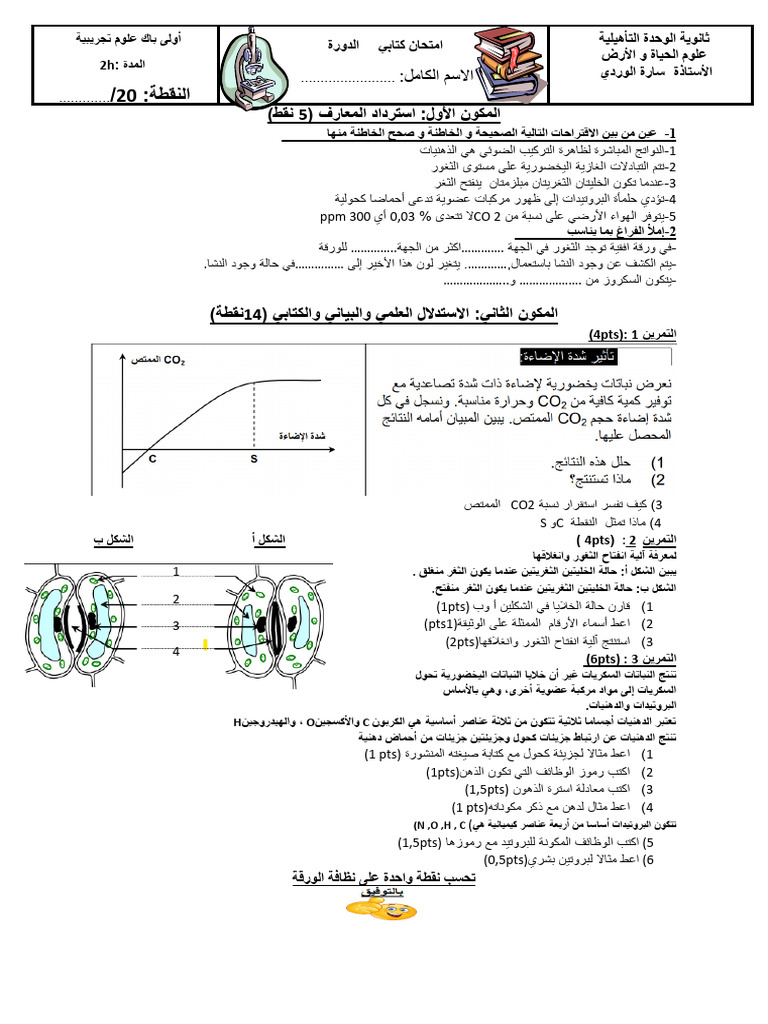 Examen SVT S1 SVT 2 | PDF