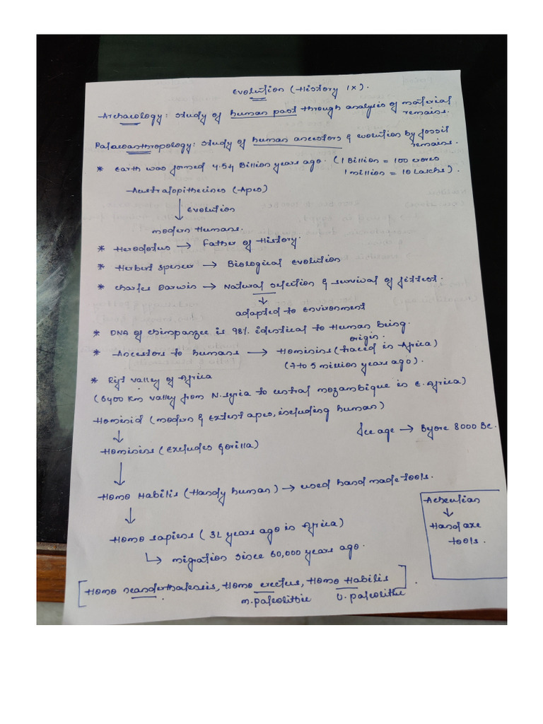 Evolution History | PDF