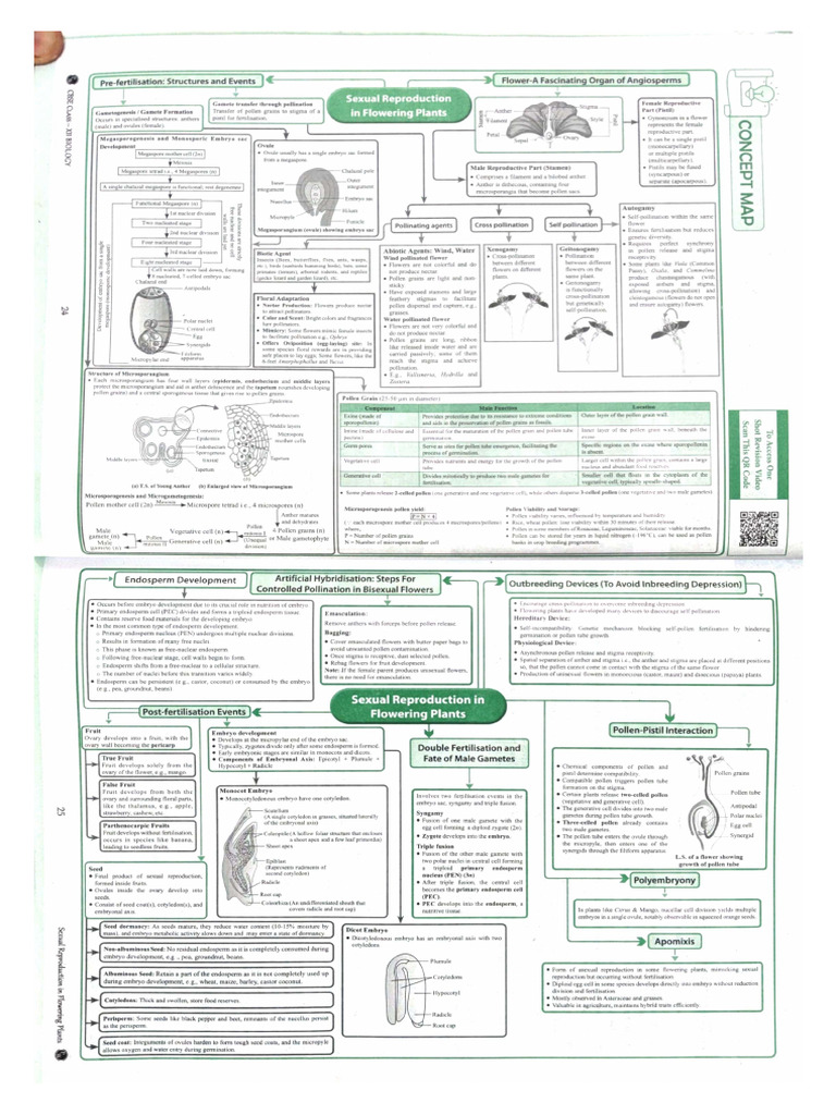Chapter Wise Mind Map Class 12 Biology | PDF
