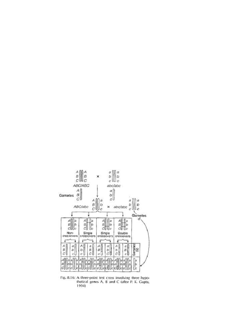 GDM - Botany - Test Cross - Sem4 - 01 | PDF | Genetic Linkage | Genetic ...