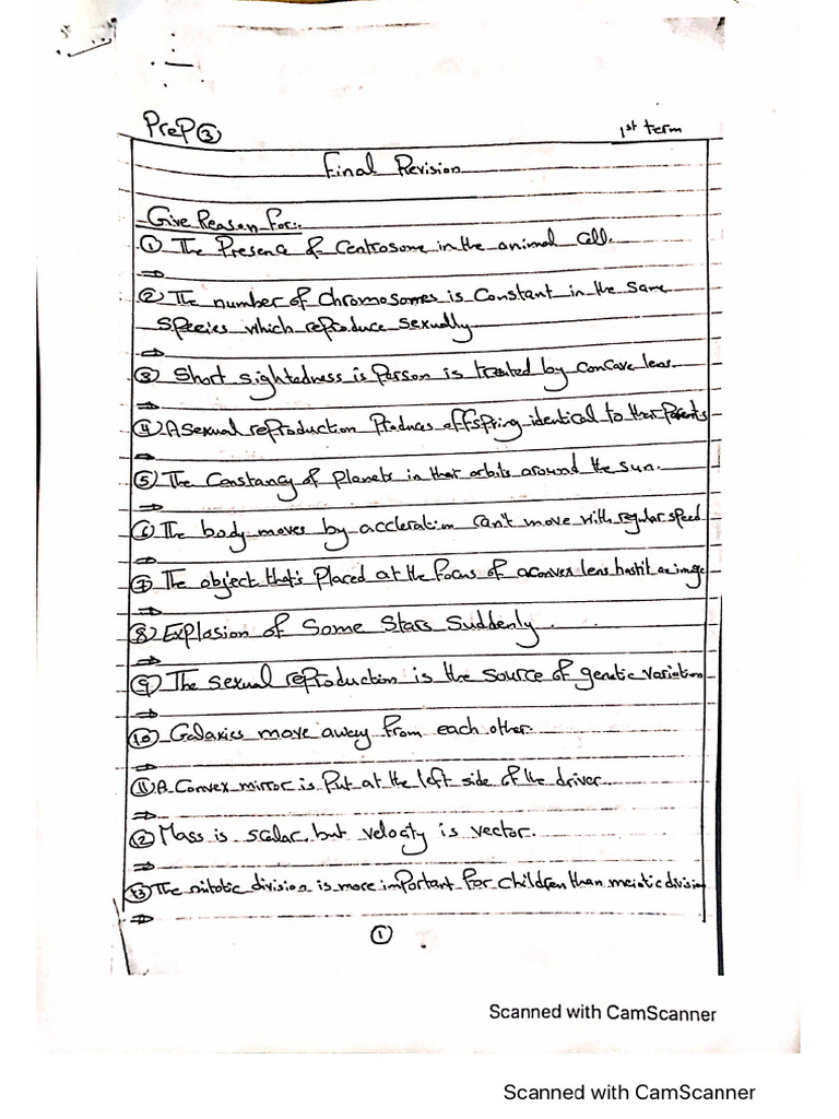 Prep 3 Revision 4 | PDF