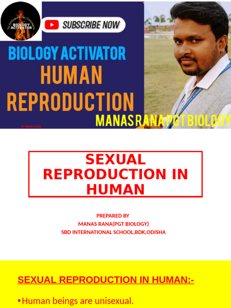 Sexual Reproduction in Human | PDF