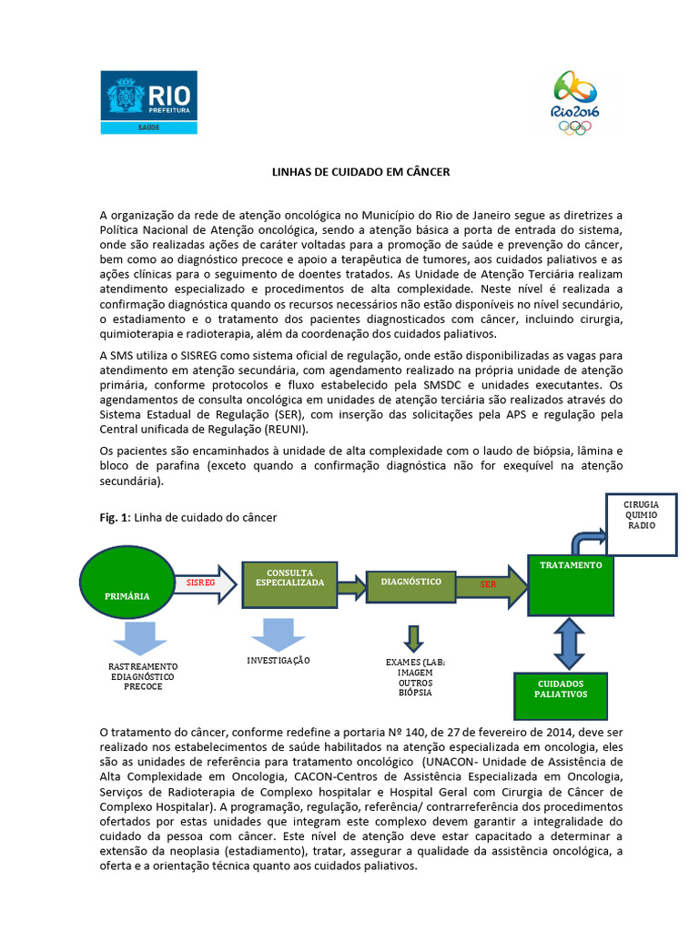 Linhas de Cuidado no Câncer do Colo Uterino | PDF | Câncer | Câncer ...