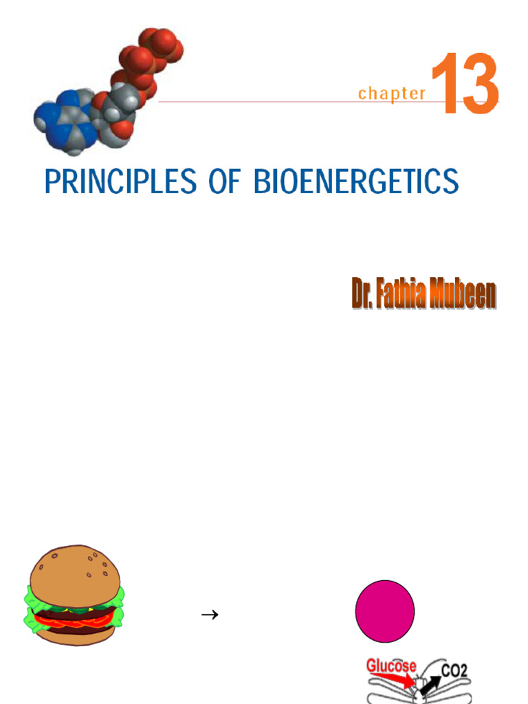 Principles of Bioenergetics Explained | PDF | Adenosine Triphosphate ...
