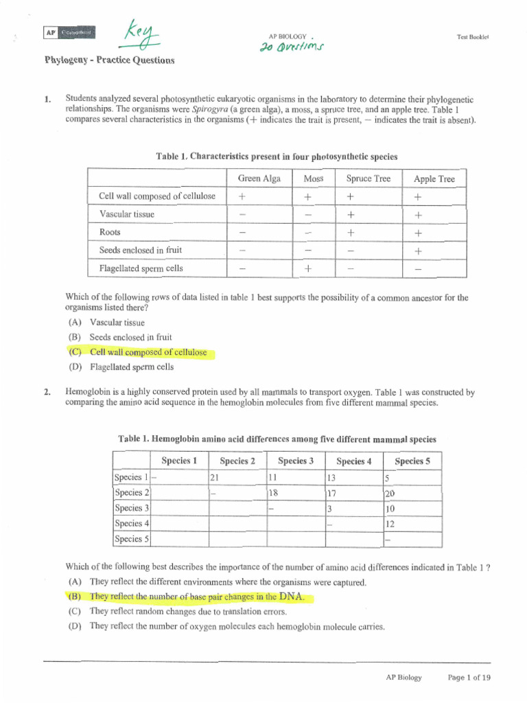 Phylogeny Practice AP Questions - KEY | PDF