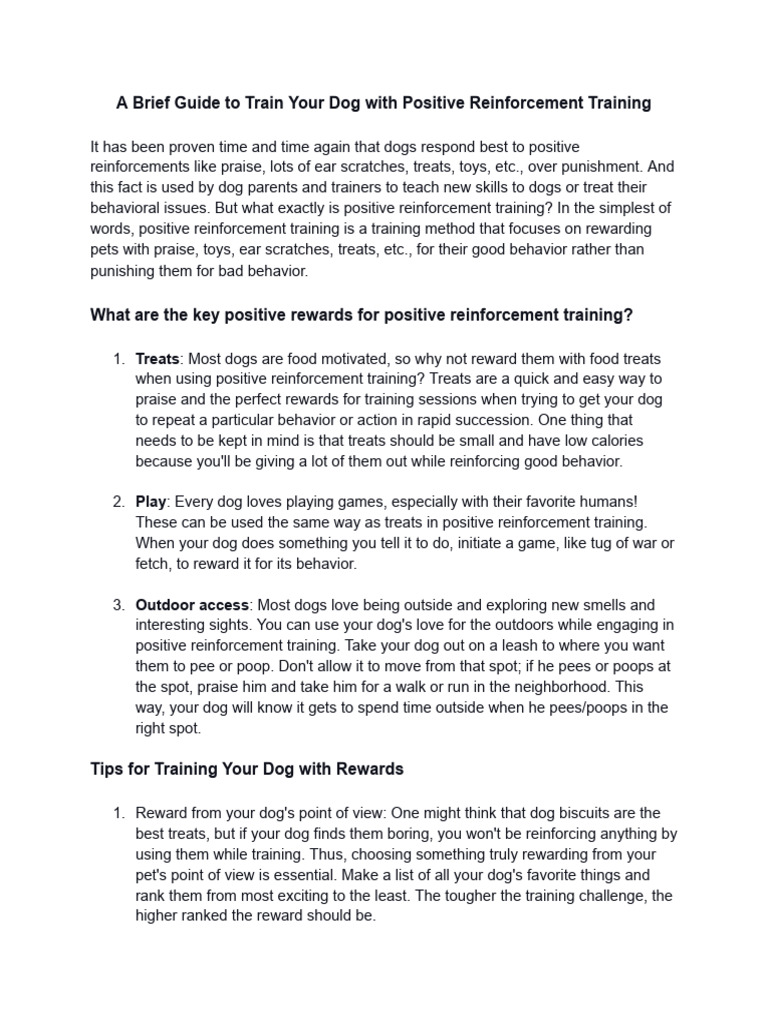 A Brief Guide To Train Your Dog With Positive Reinforcement Training ...